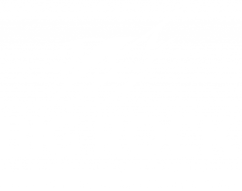 Big Rock Logo COLOR Stacked VECTOR – The Big Rock Tournament